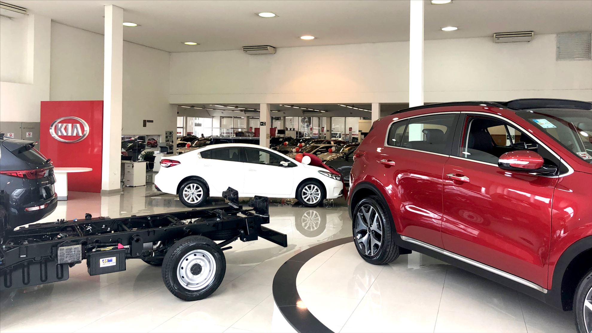 VIGORITO - Kia Brasil